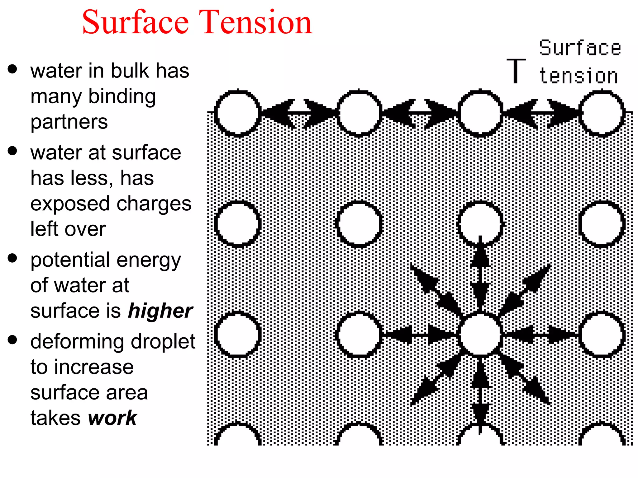 Surface tension | PPT | Chemistry | Science