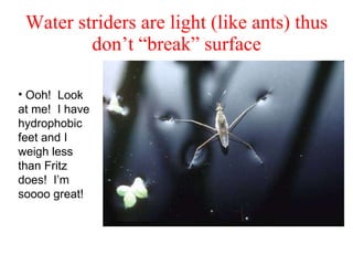 Surface tension | PPT | Chemistry | Science