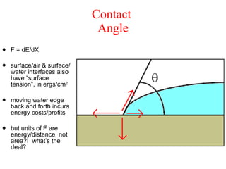 Surface tension | PPT