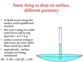 Surface tension | PPT