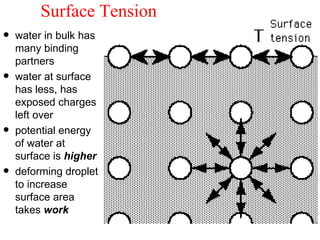 Surface tension | PPT | Chemistry | Science