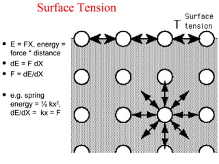 Surface tension | PPT