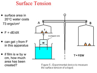 Surface Tension Diagram