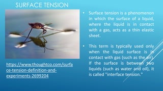 Surface Tension Definition