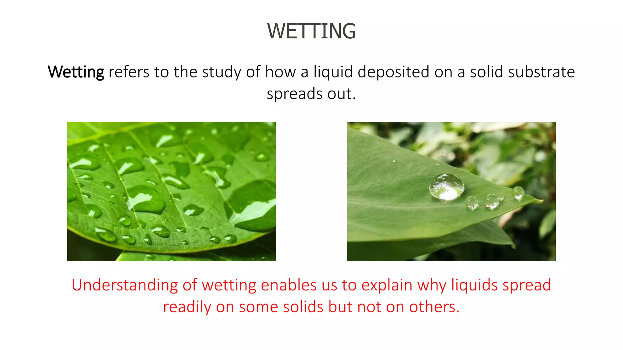 Surface tension--Wetting Phenomena--Capillarity | PPTX
