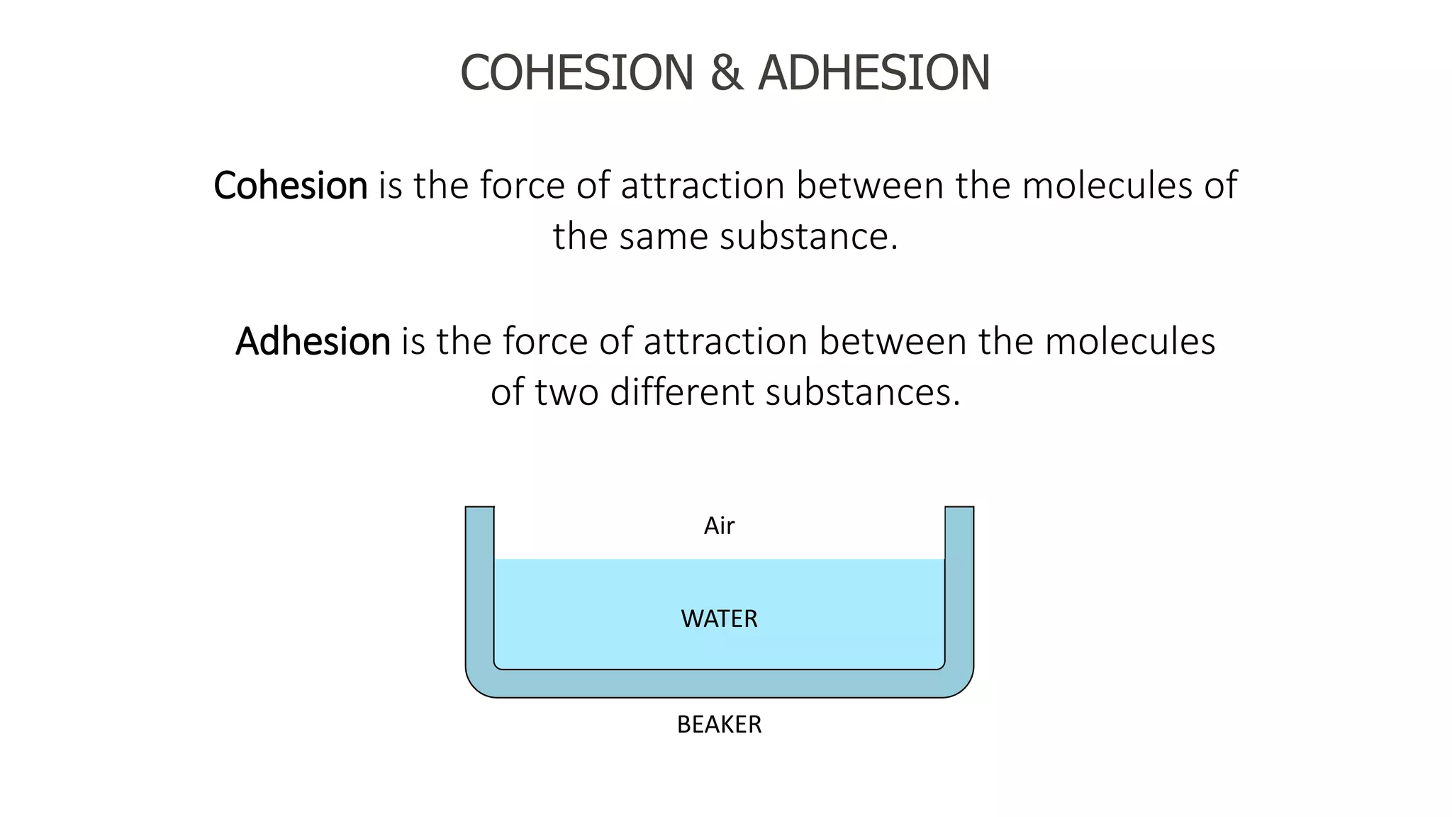 Surface tension--Wetting Phenomena--Capillarity | PPTX