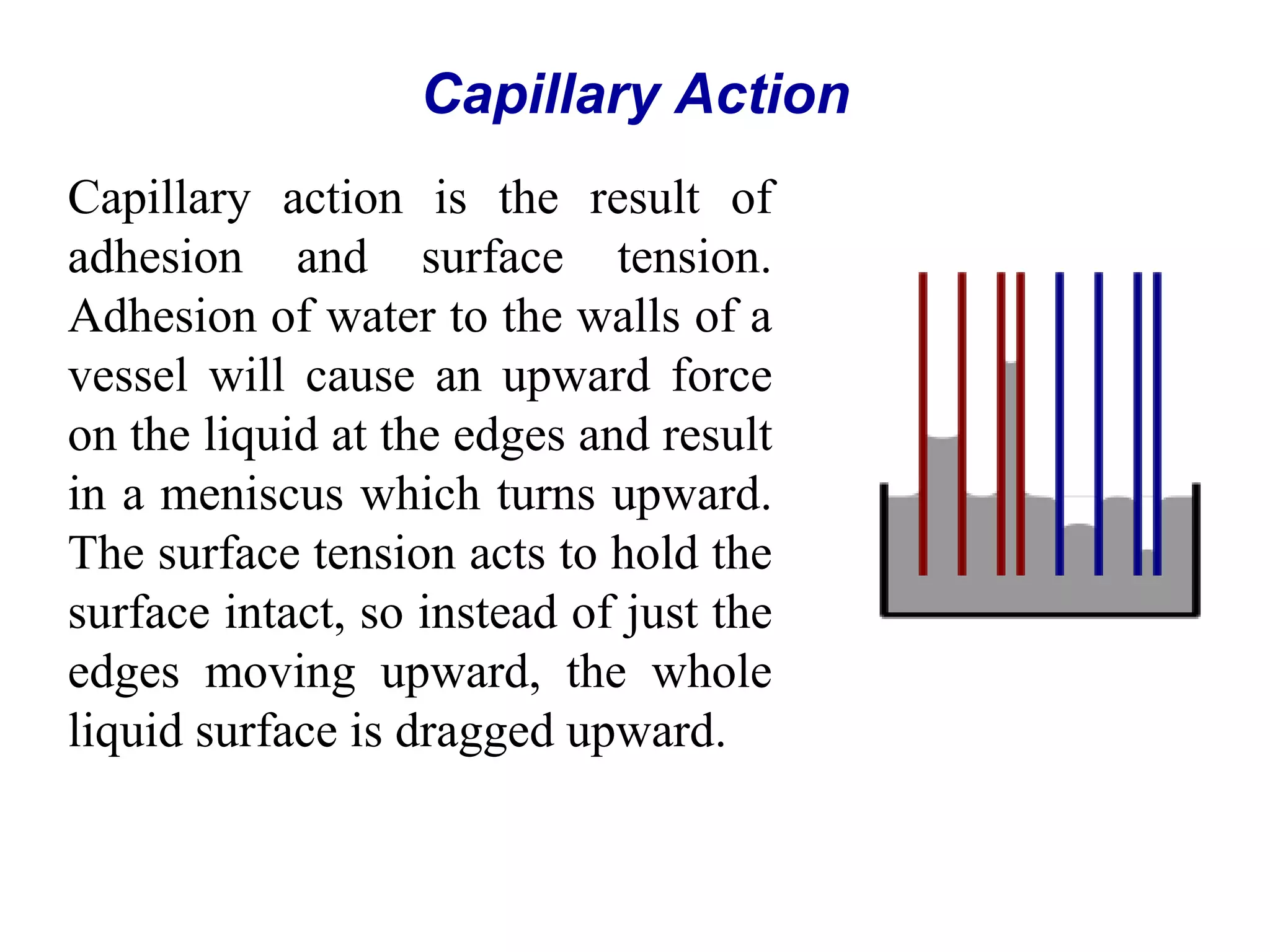 Surface Tension.ppt