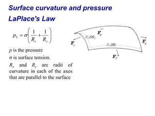 Surface Tension.ppt