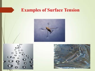 Surface tension.ppt