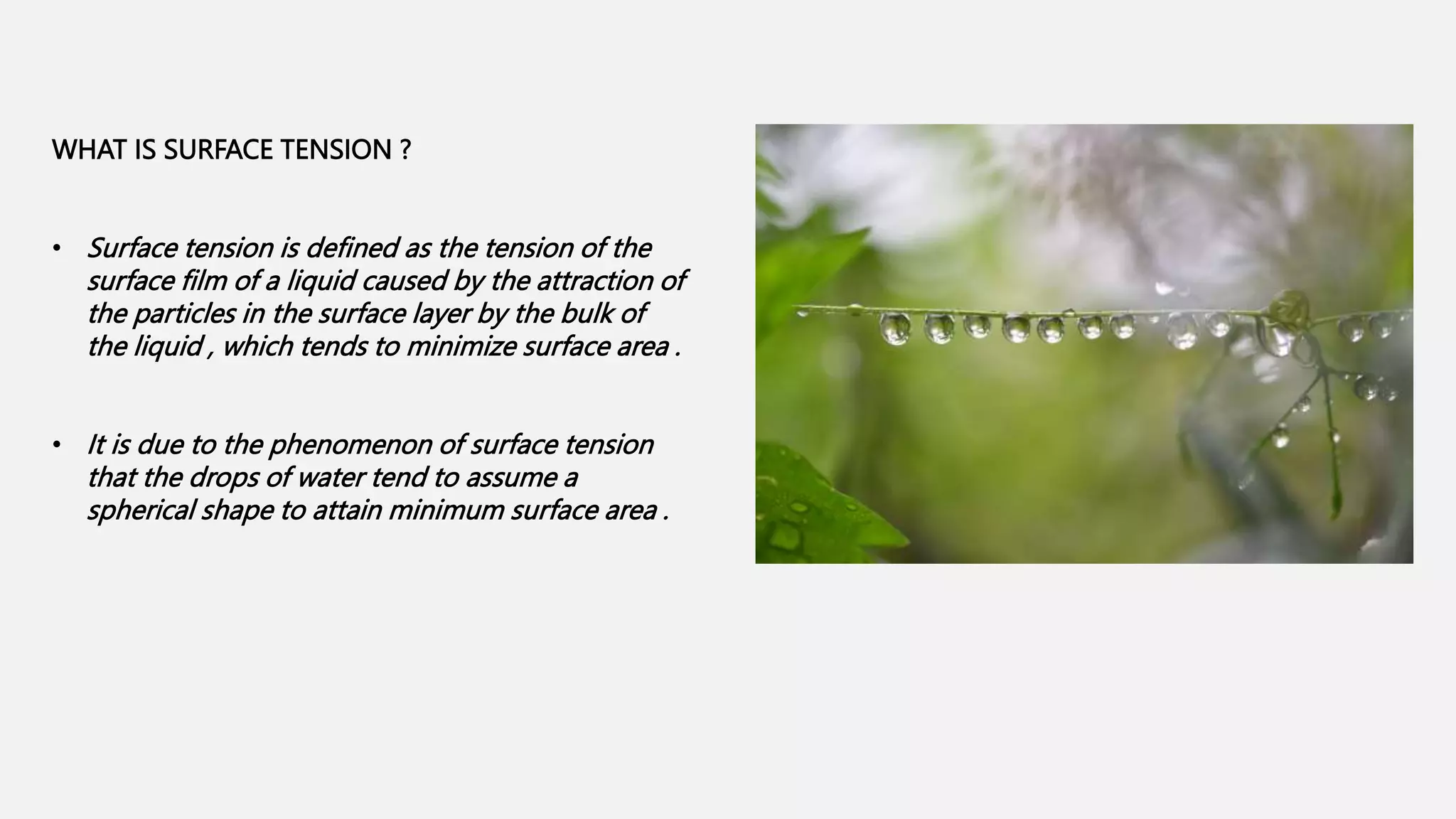 Surface tension.pptx