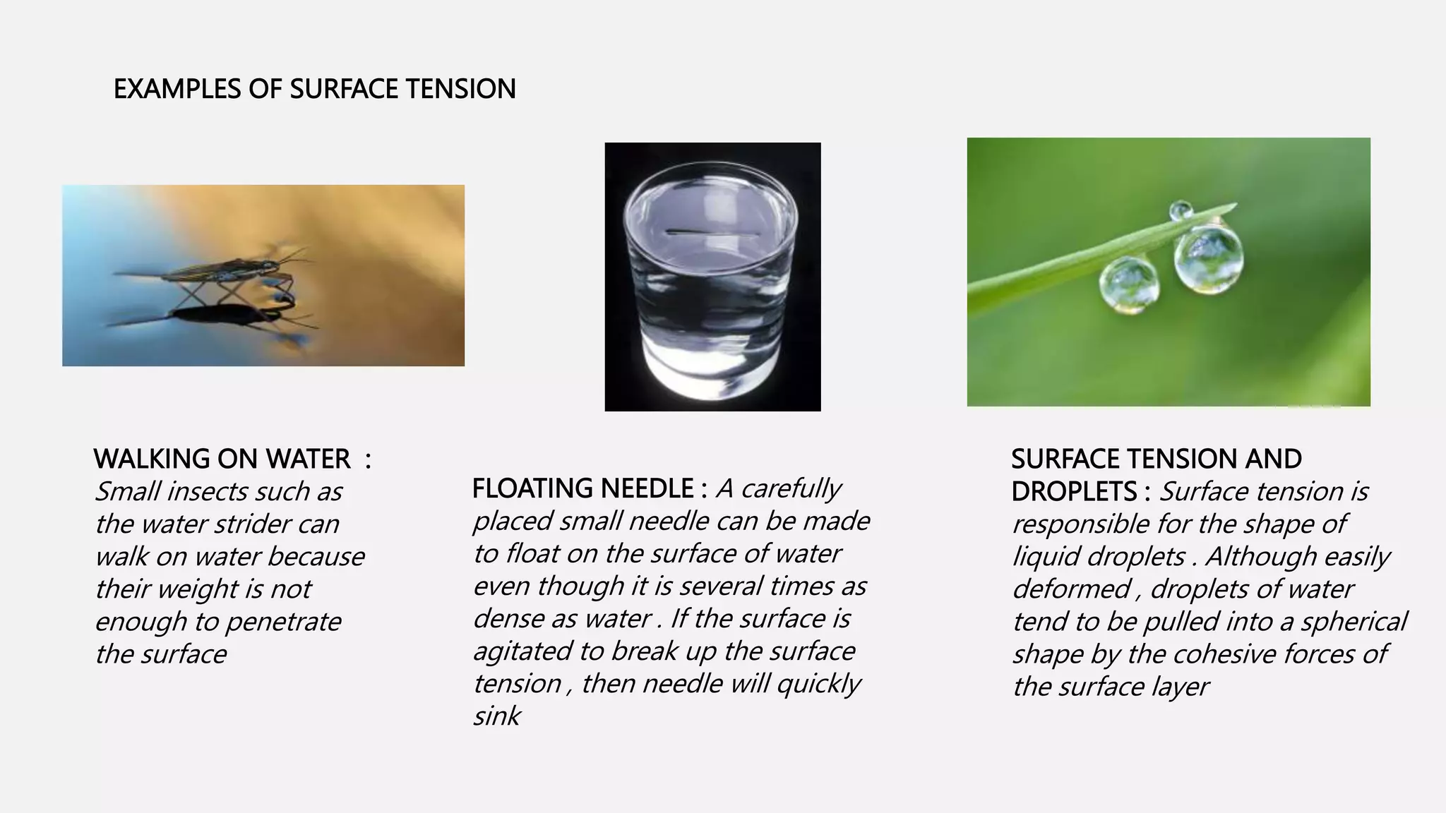 Surface tension.pptx