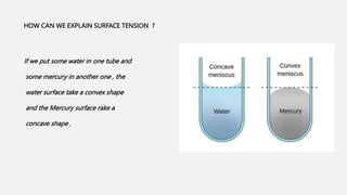 Surface tension.pptx