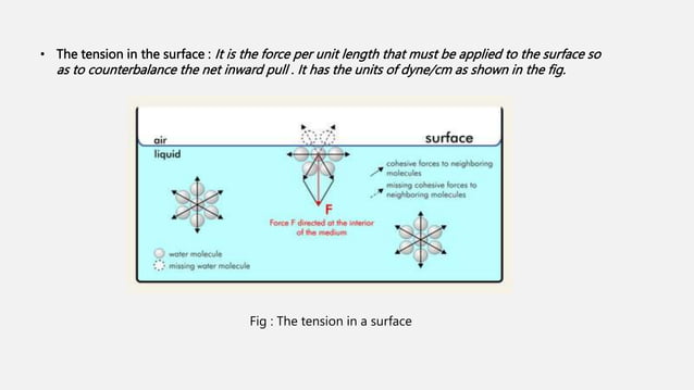 Surface tension.pptx