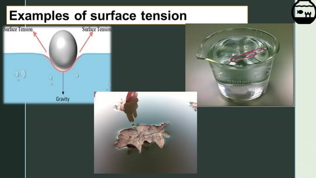 Surface tension !!!!!.pdf