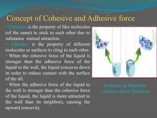 Surface Tension for Engineering Physics.pptx