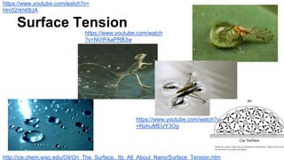 Surface Tension - Deep Dive #1 | PPT