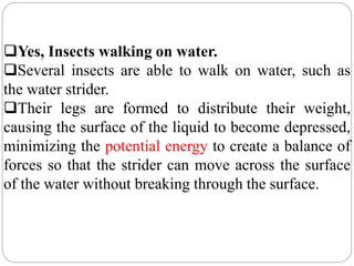 Surface tension (1) | PPTX