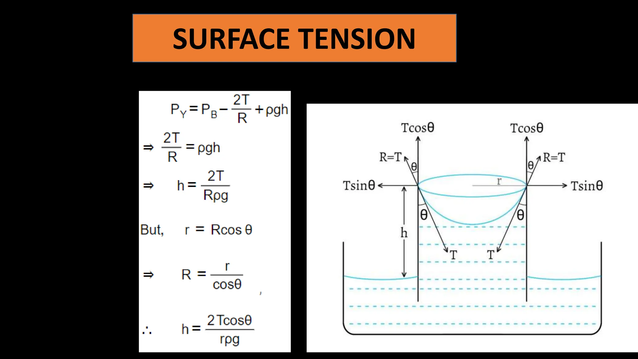 surface tension 1.pptx science hub | tsh | PPTX