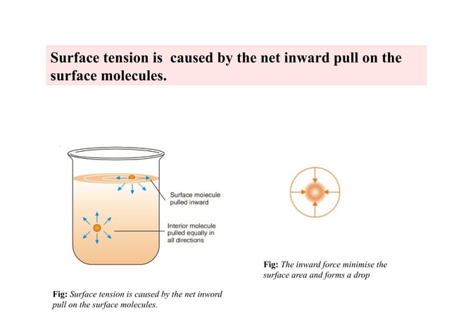 Surface tension and its measurement method.pptx