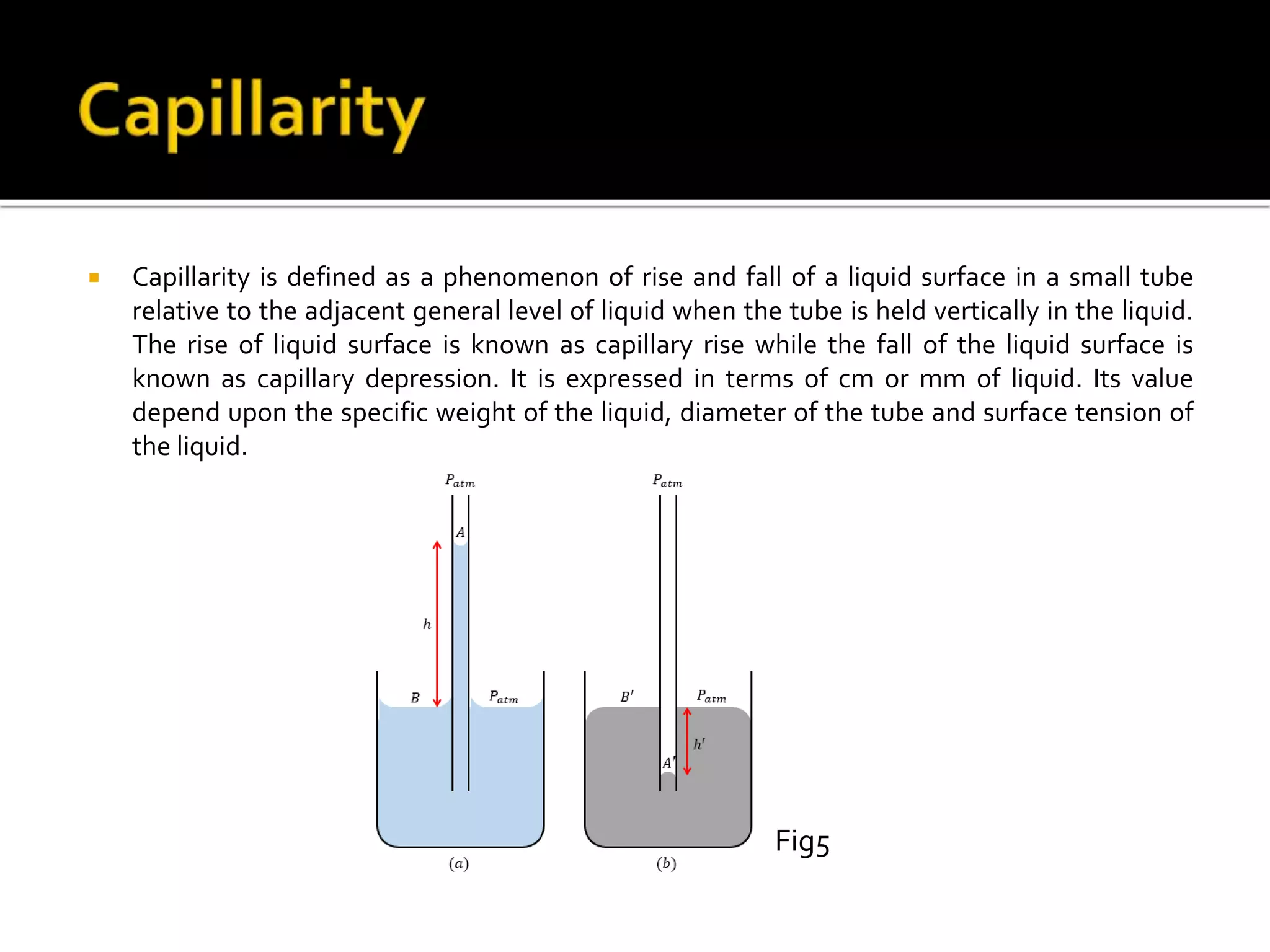 Surface tension & capillarity c | PPTX
