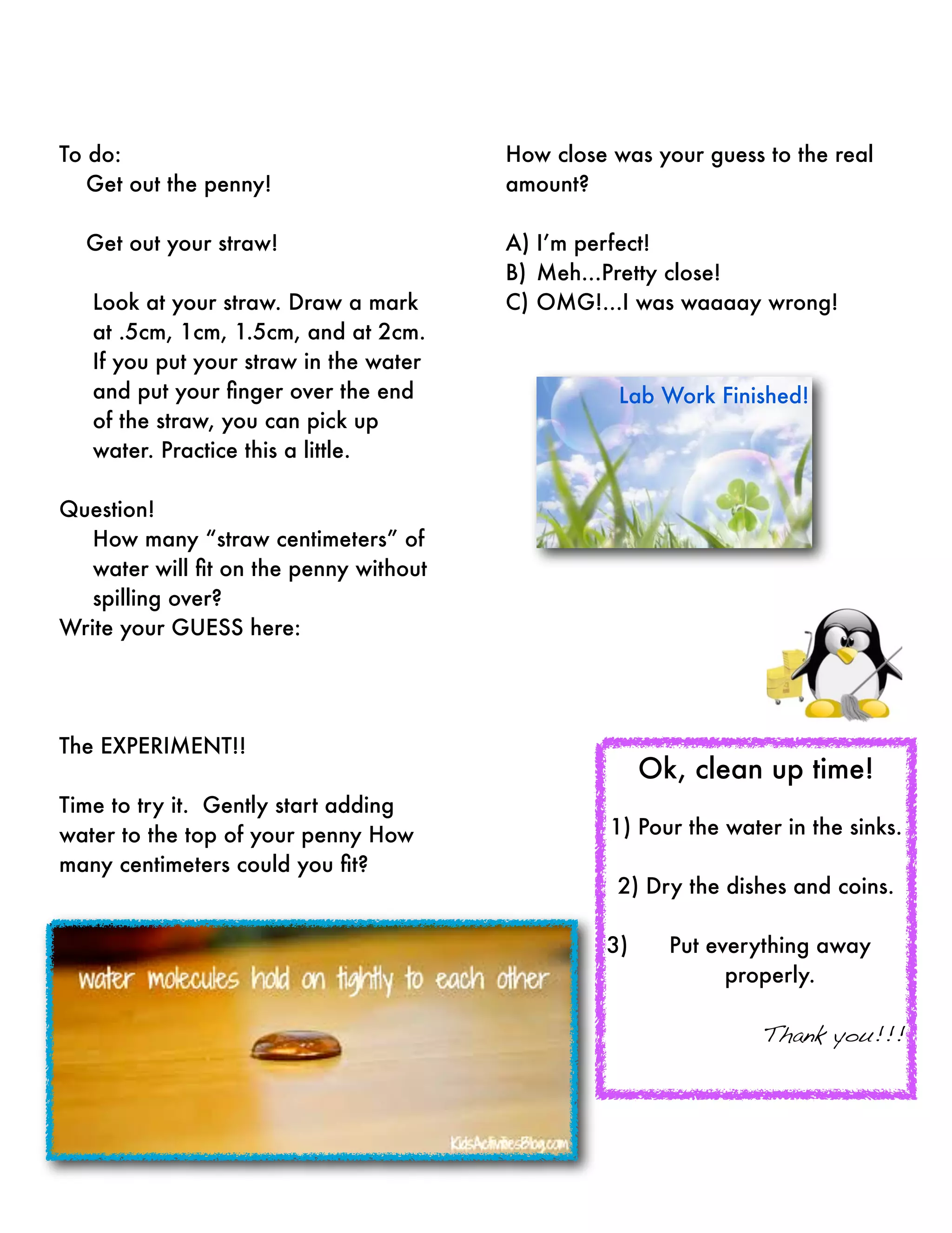 Surface tension lab 2012 | PDF