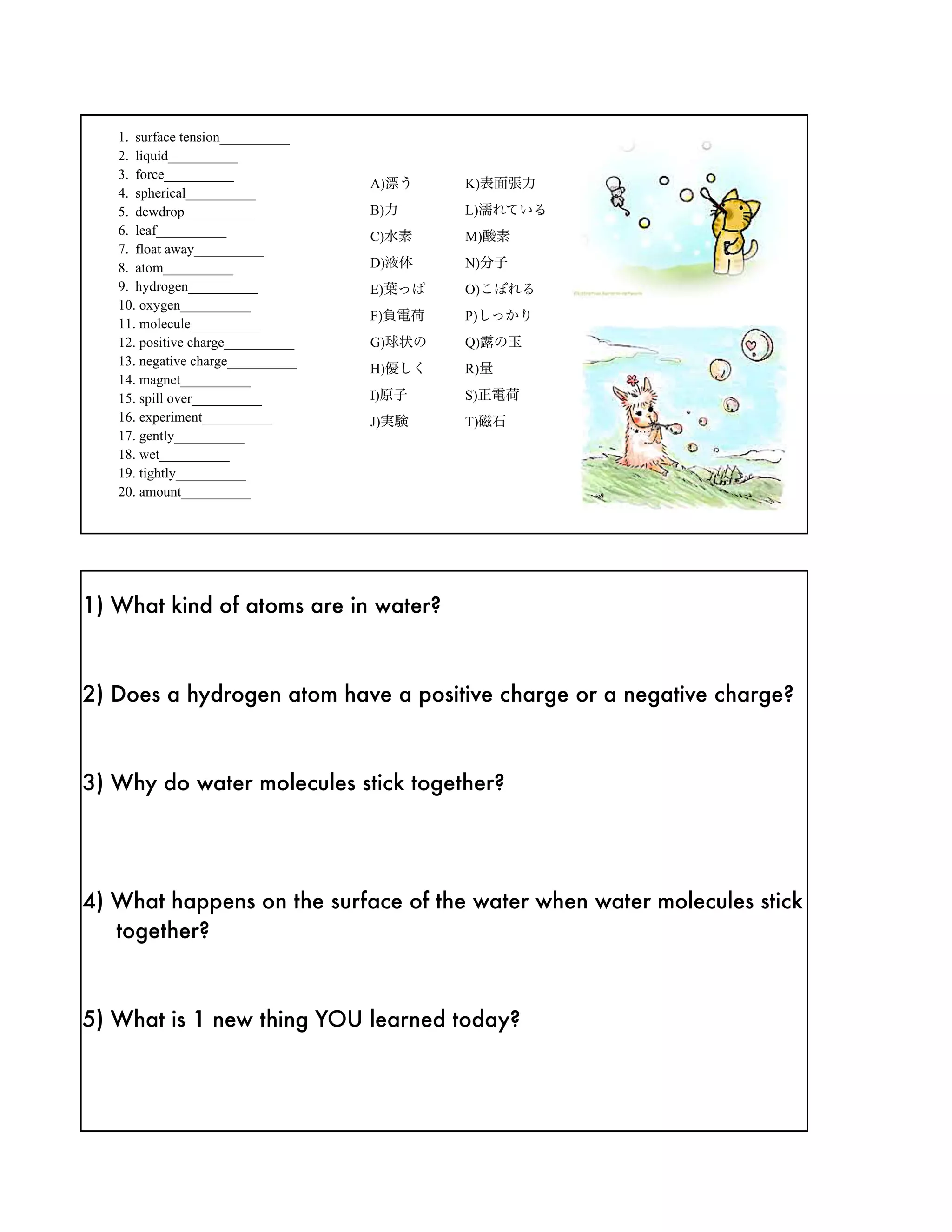 Surface tension lab 2012 | PDF