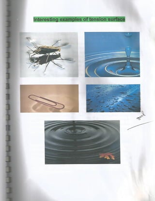 Surface Tension Report | PDF