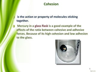 Surface tension & wetting in dental materials | PPT