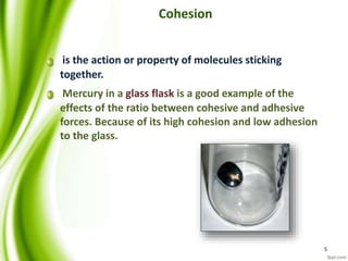 Surface tension & wetting | PPT
