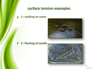 Surface Tension Examples