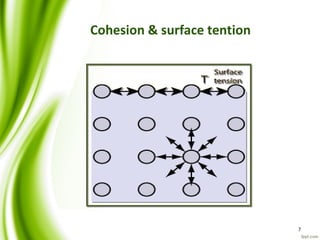 Surface tension & wetting | PPT