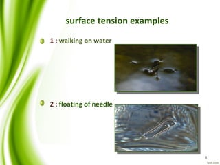 Surface tension & wetting | PPT