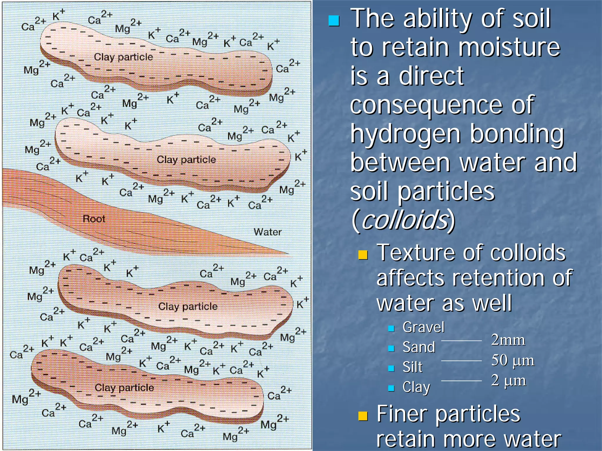 Surface Water | PDF