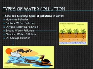 Surface water pollution | PPTX
