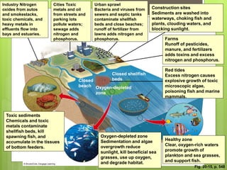 Surface water pollution | PPTX