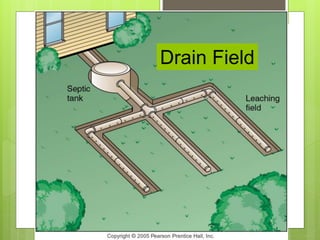 Surface water pollution | PPTX