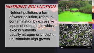 surface water pollution and it's treatment in environmental geology | PPT