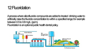 Surface Water Treatment Plant – Flow Diagram.pptx