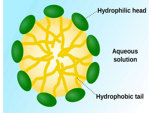 Surfactant (Physiology) | PPTX