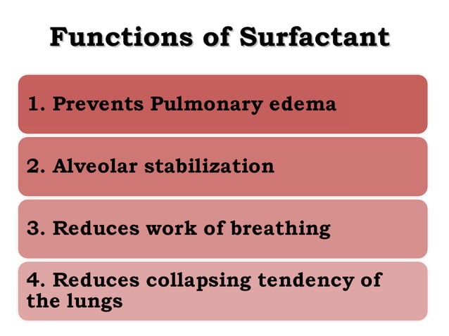 Surfactant lung physiology dental medical .ppt
