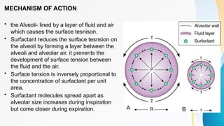 SURFACTANT , COMPLIANCE AND AIRWAY RESISTANCE | PPTX