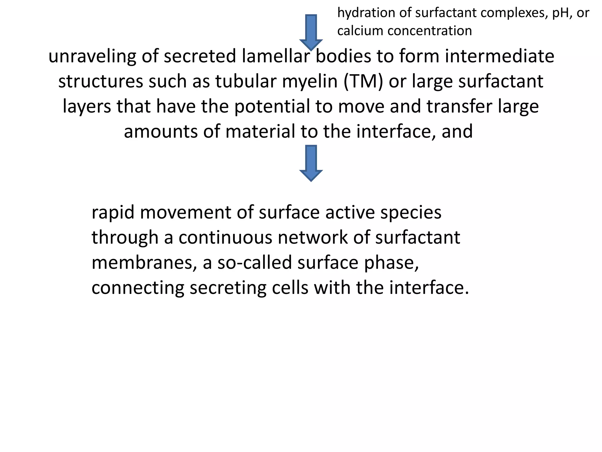 Surfactant, biosynthesis and its regulation | PPTX