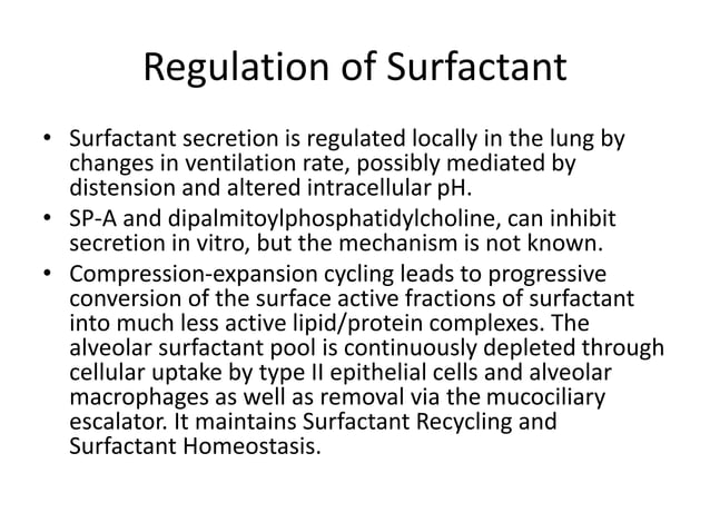 Surfactant, biosynthesis and its regulation | PPTX | Lung and ...