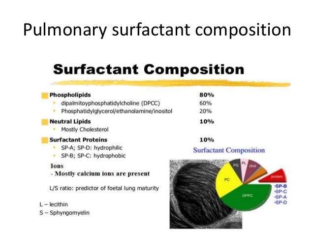 Surfactant, biosynthesis and its regulation