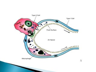 Surfactant replacement therapy : RDS & beyond | PPTX