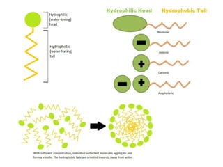 Surfactants introduction basic knowledge | PPTX