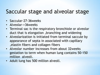 Surfactant therapy | PPTX