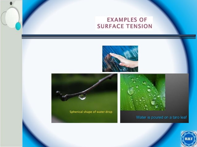 Surface tension. | PPTX | Lung and Respiratory Health | Diseases and ...
