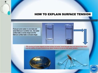 Surface tension. | PPTX