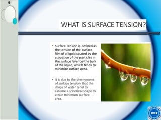 Surface tension. | PPTX